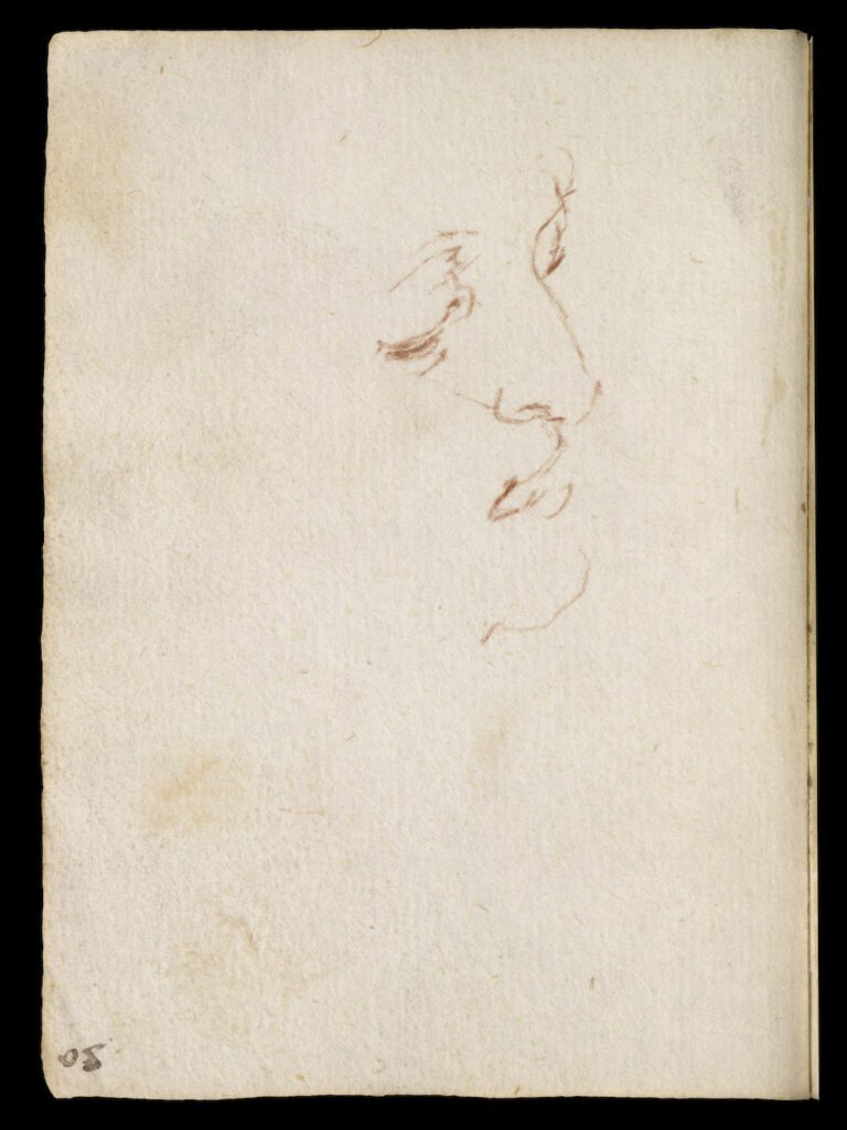 Leonardo da Vinci’s notebooks: not only technology | Scala Archives