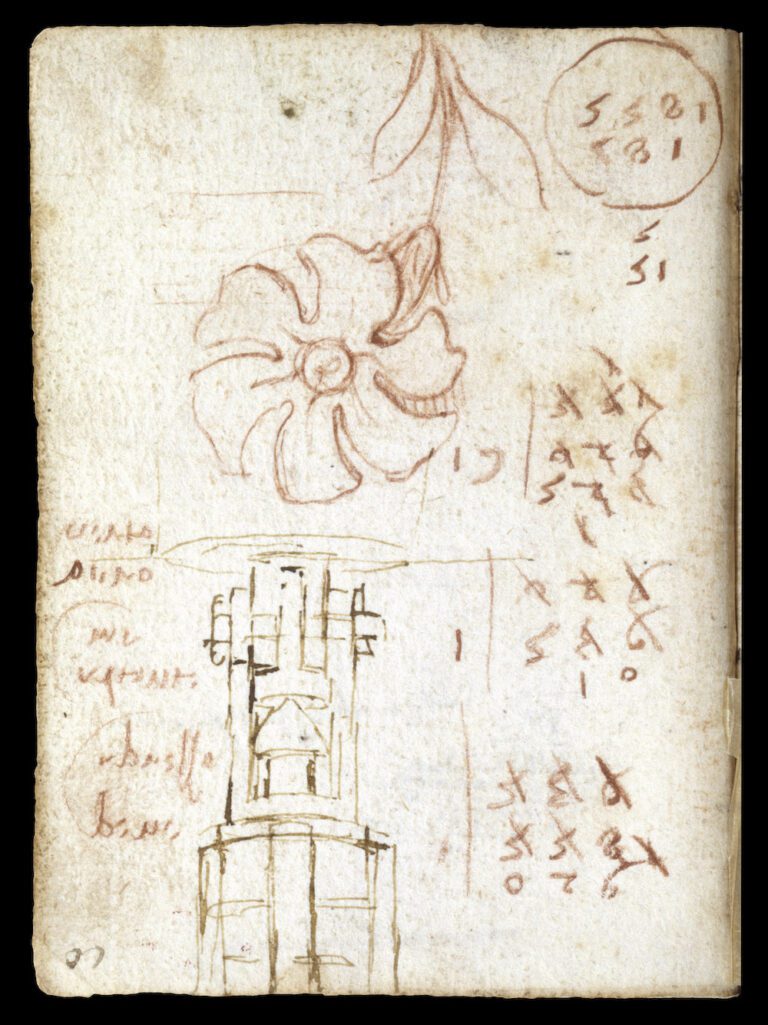 Leonardo da Vinci’s notebooks: not only technology | Scala Archives