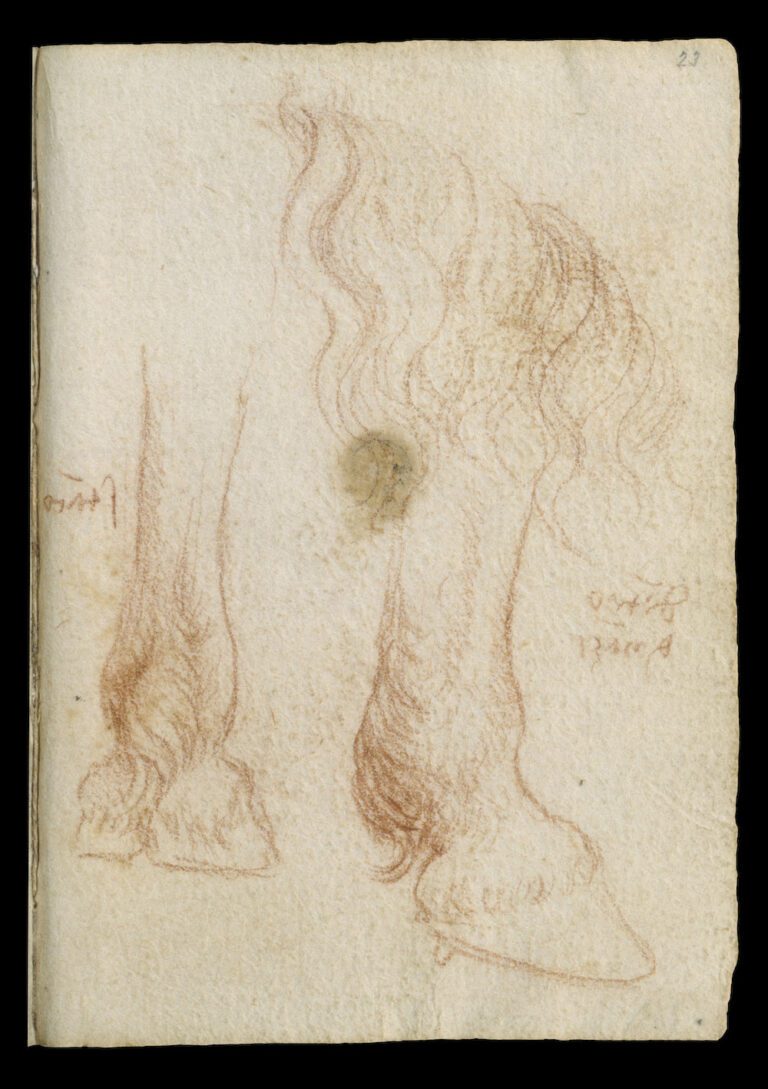 Leonardo da Vinci’s notebooks: not only technology | Scala Archives