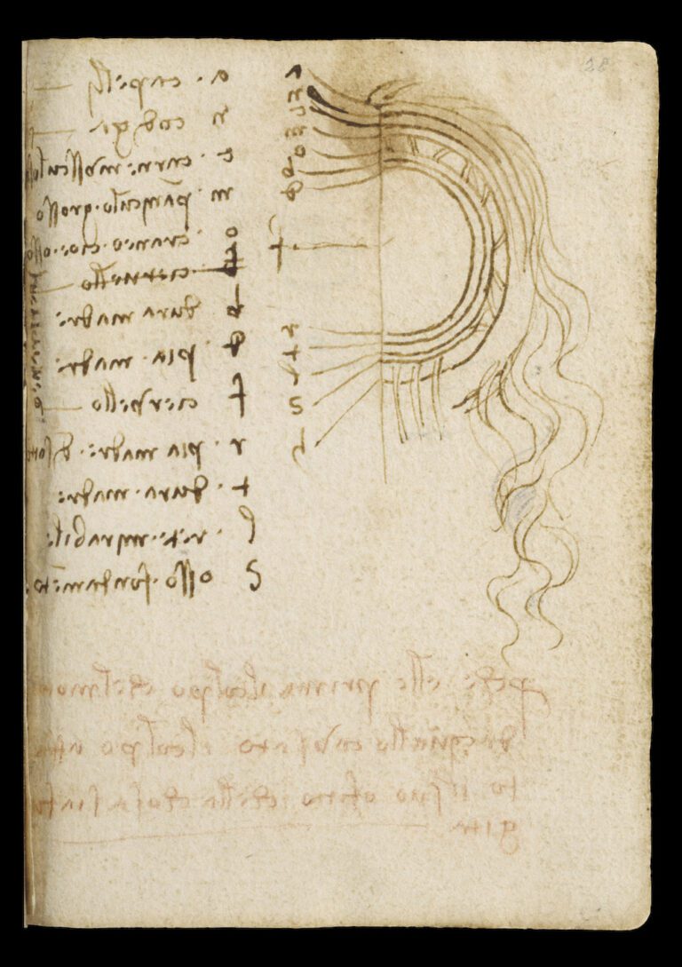 Leonardo da Vinci’s notebooks: not only technology | Scala Archives